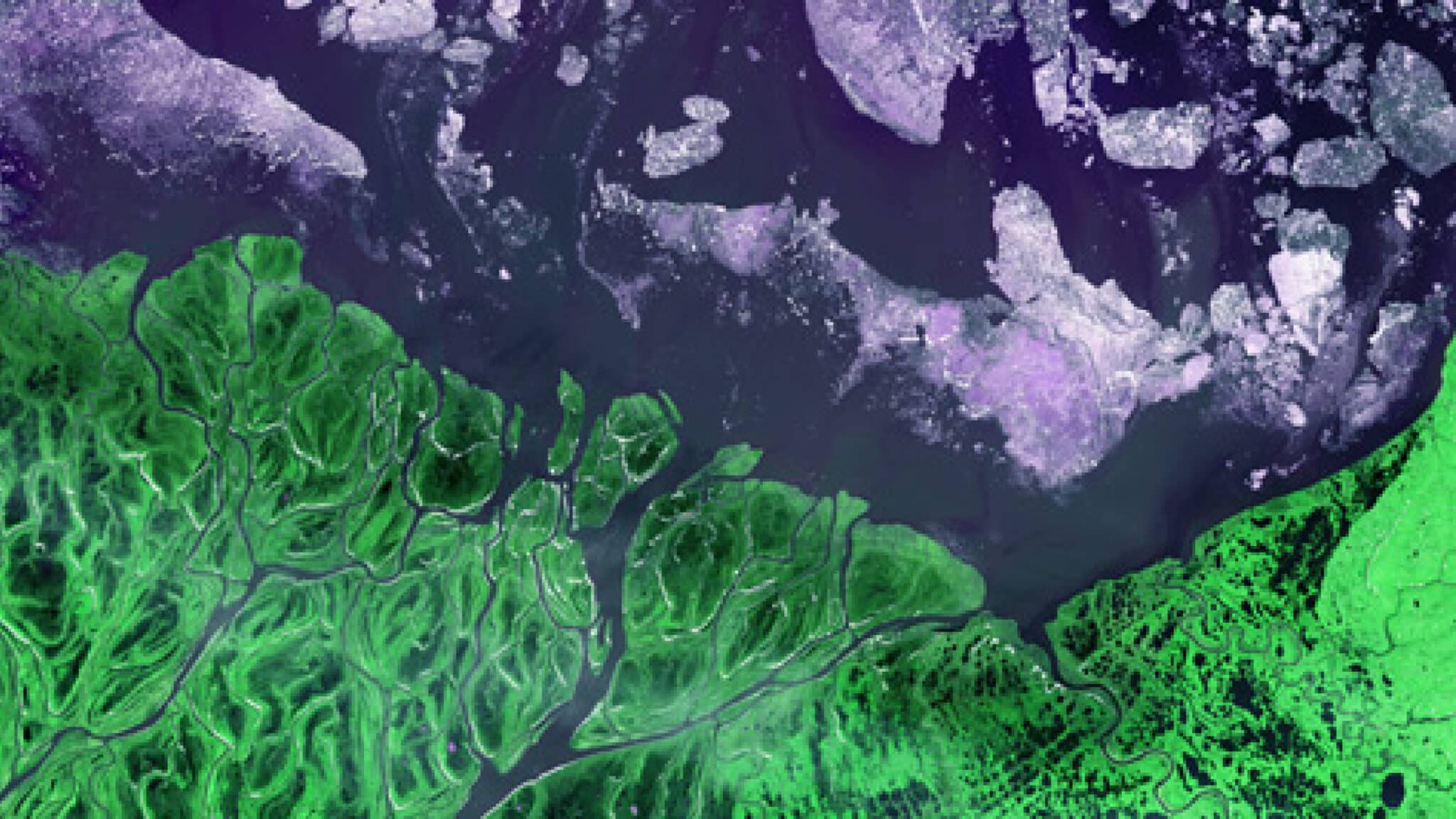 5 projects nominated for the TTI.5 Prize for Environmental Controversy ...