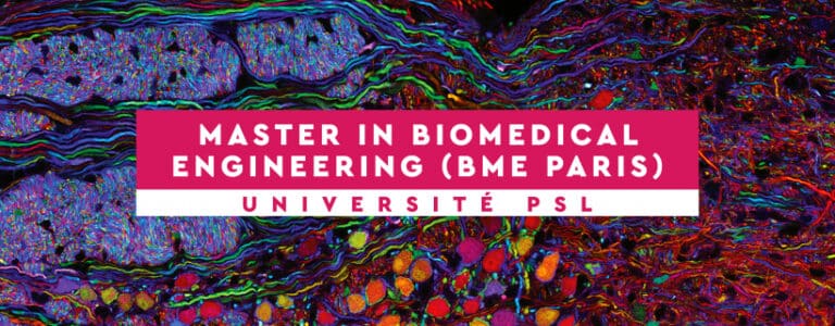 Masters - MINES PARIS - PSL